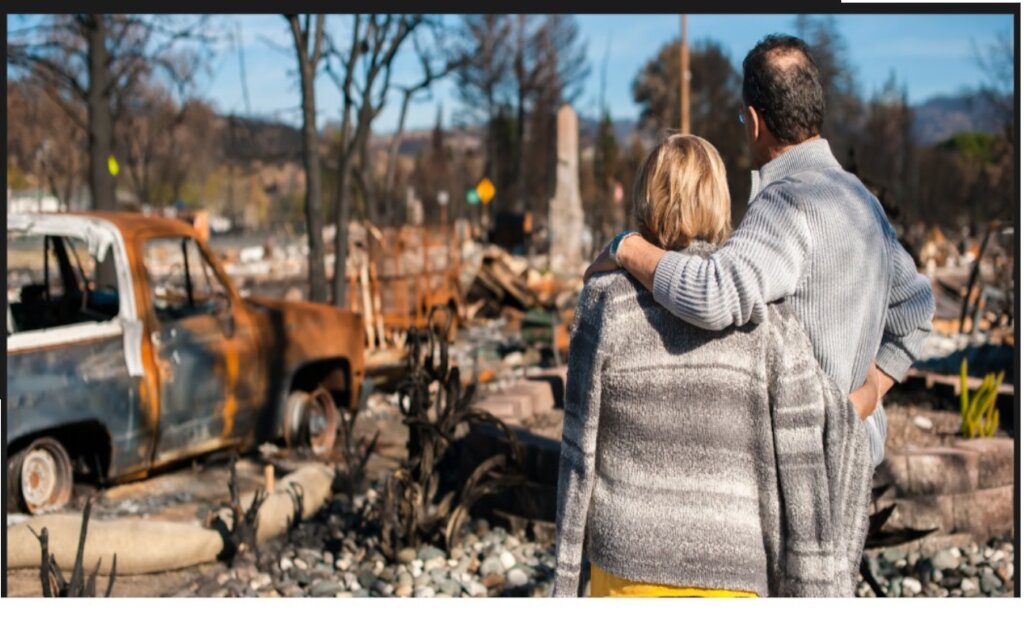 Resilience: Monument Wildfire Recovery Project - GlobalGiving