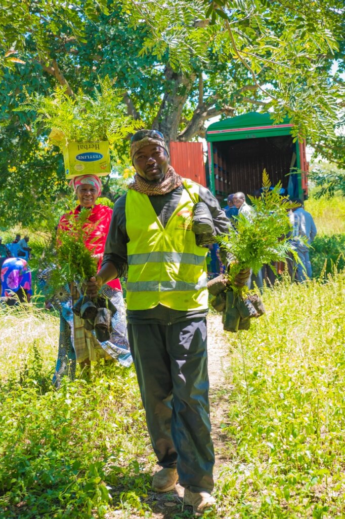 Offsetting CO2 by planting trees in Tanzania. - GlobalGiving