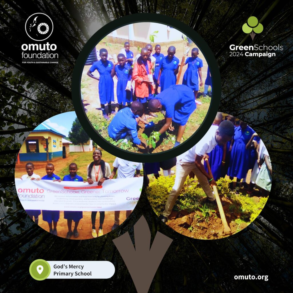Empowering 60 Ugandan Schools in Green Economy. - GlobalGiving