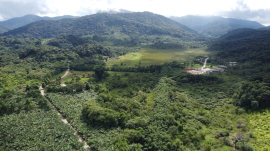 Greenworks Brazil: Guapimel Beeworks - GlobalGiving