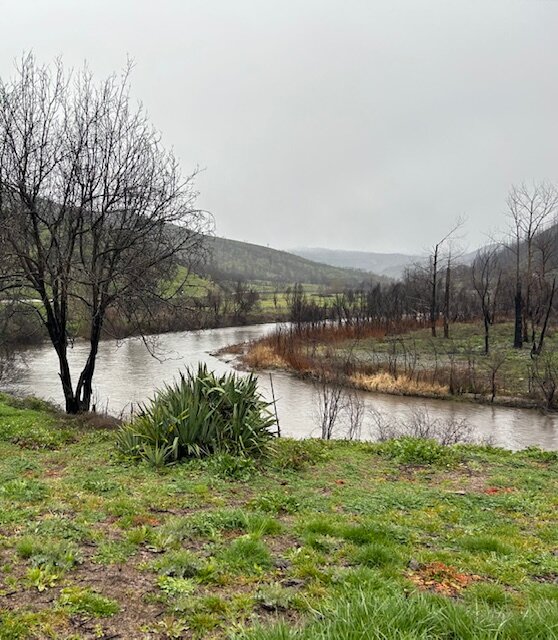 Embracing Tomorrow: McKinney Fire Recovery - GlobalGiving