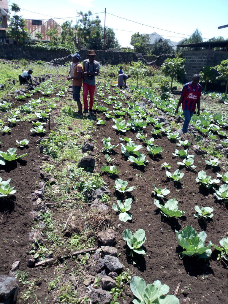 How to Share IDPs Women Humanitarian Reliefs Project in Goma - GlobalGiving