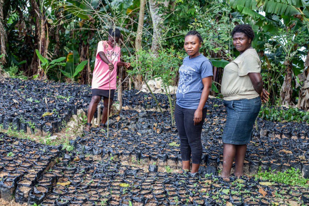 Hope and Solidarity 4 Haiti! - GlobalGiving