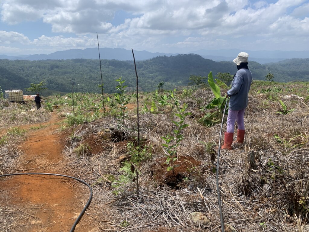 Donate to Heat Wave Disaster Relief and Recovery Project - GlobalGiving