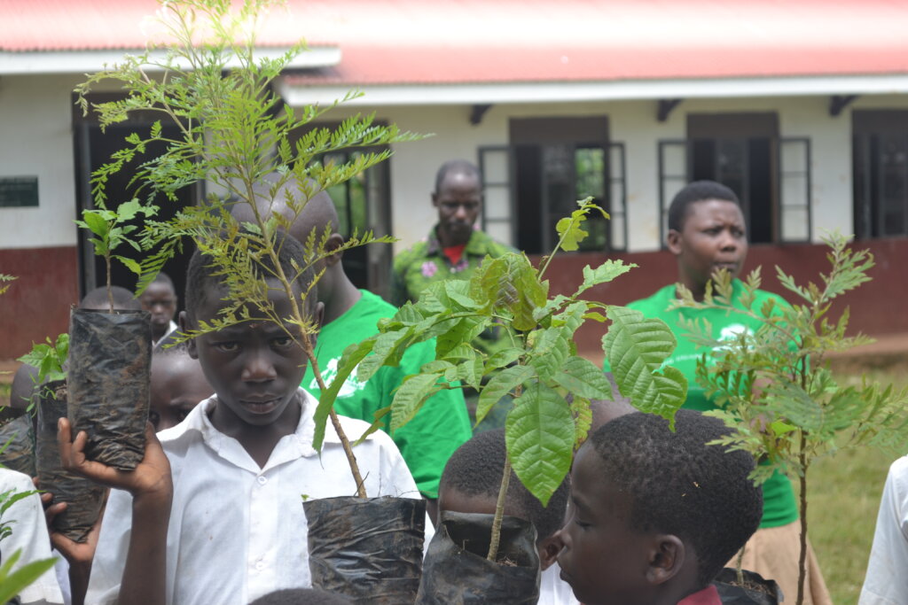 Support Greening Uganda Schools 1,000,000 Trees - GlobalGiving