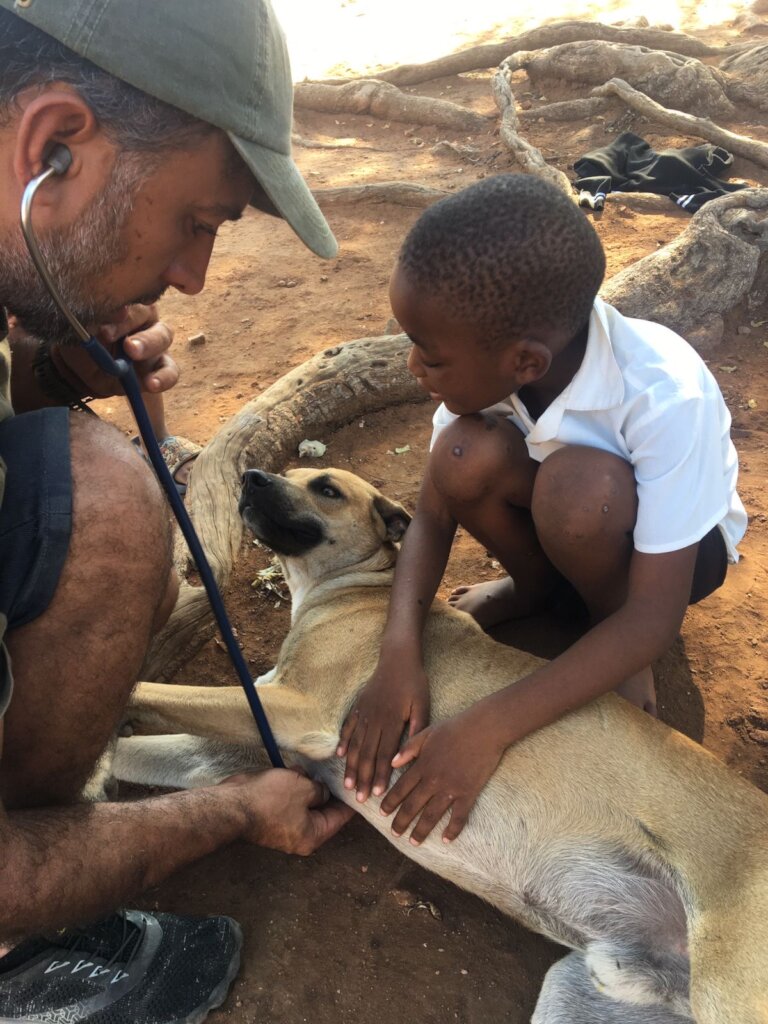 Build a community vet clinic in rural South Africa - GlobalGiving