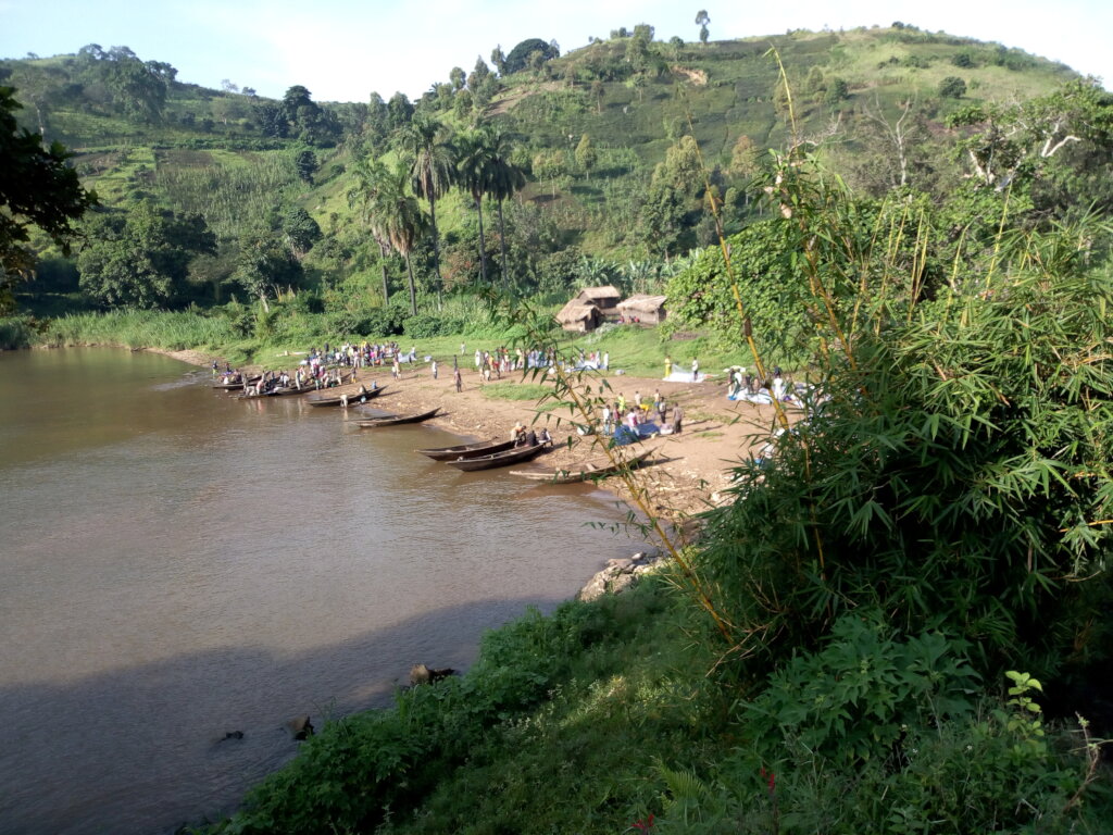 How to Share Fossil free Congo Campaign - GlobalGiving