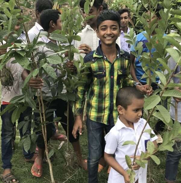 100k free Seedlings to School Children: Help Us - GlobalGiving