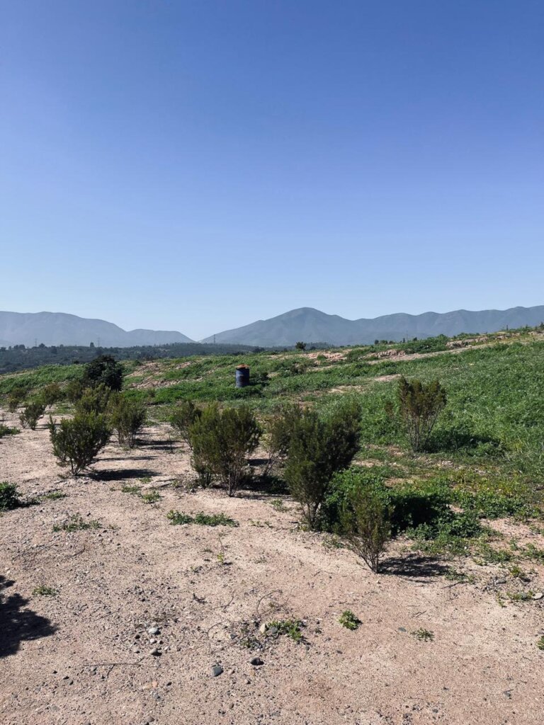 Puchuncavi, la zona de sacrificio de Chile - GlobalGiving