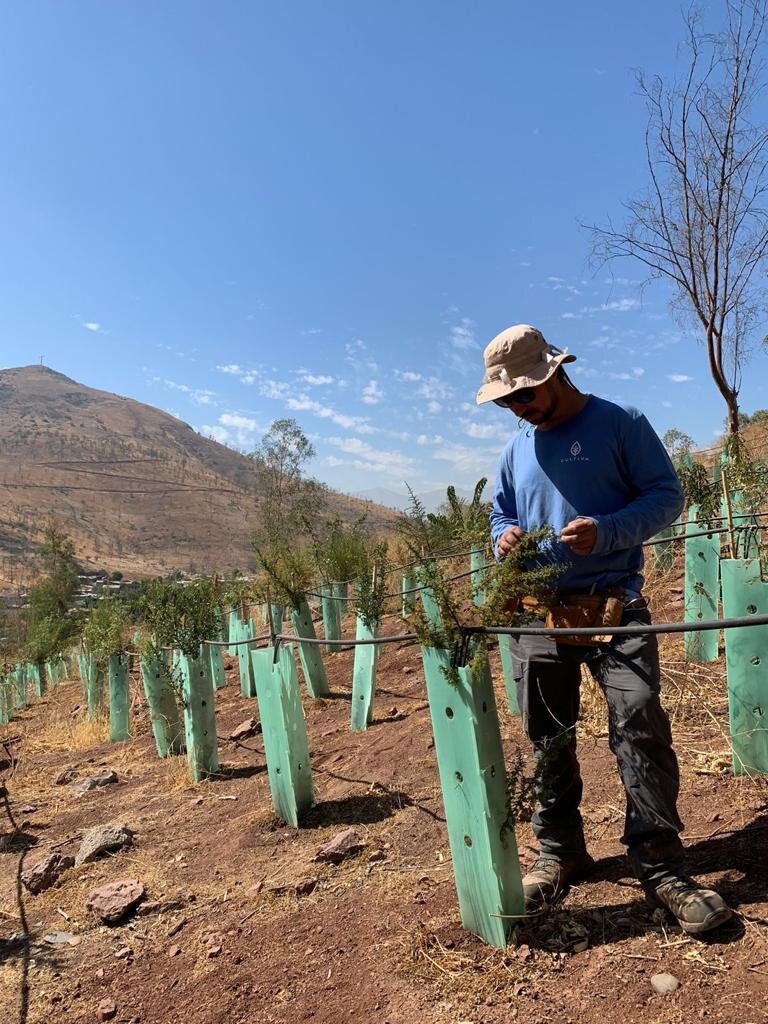 Puchuncavi, la zona de sacrificio de Chile - GlobalGiving