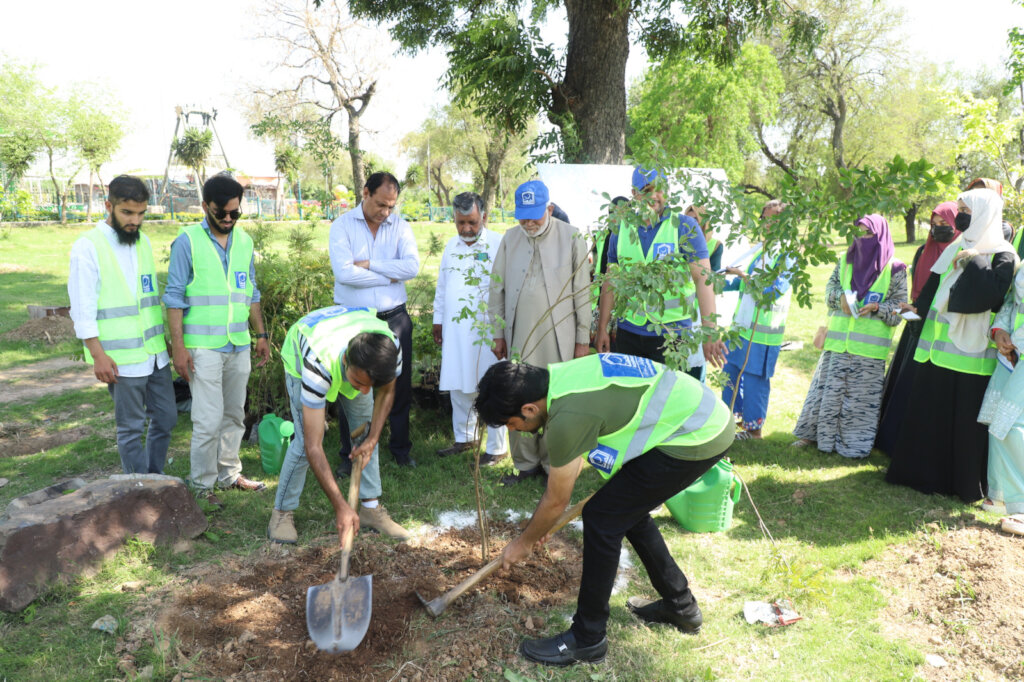 "Plant a Tree in Pakistan for " - GlobalGiving