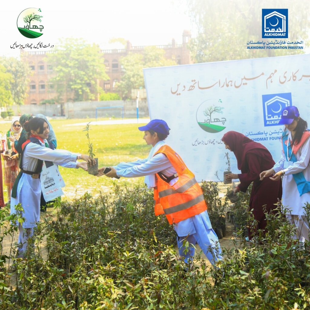 "Plant a Tree in Pakistan for " - GlobalGiving
