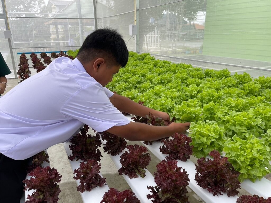 The Science-Based School Farming in rural areas - GlobalGiving
