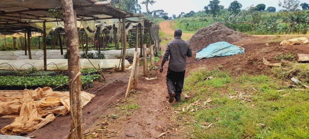 One Million Tree Project - GlobalGiving