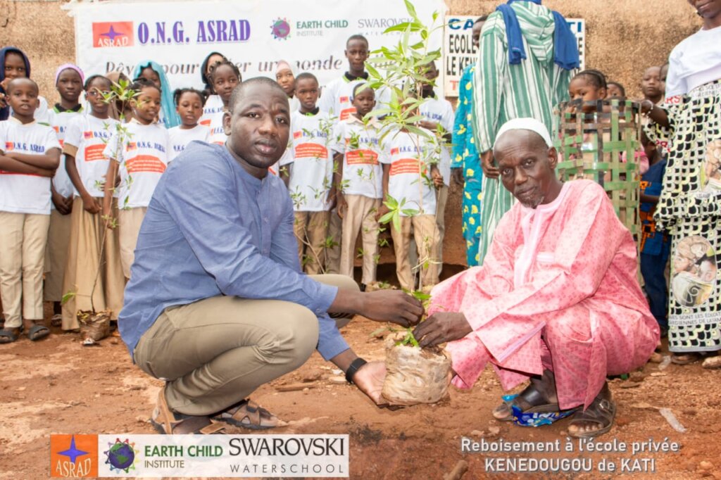 A pupil a tree - GlobalGiving