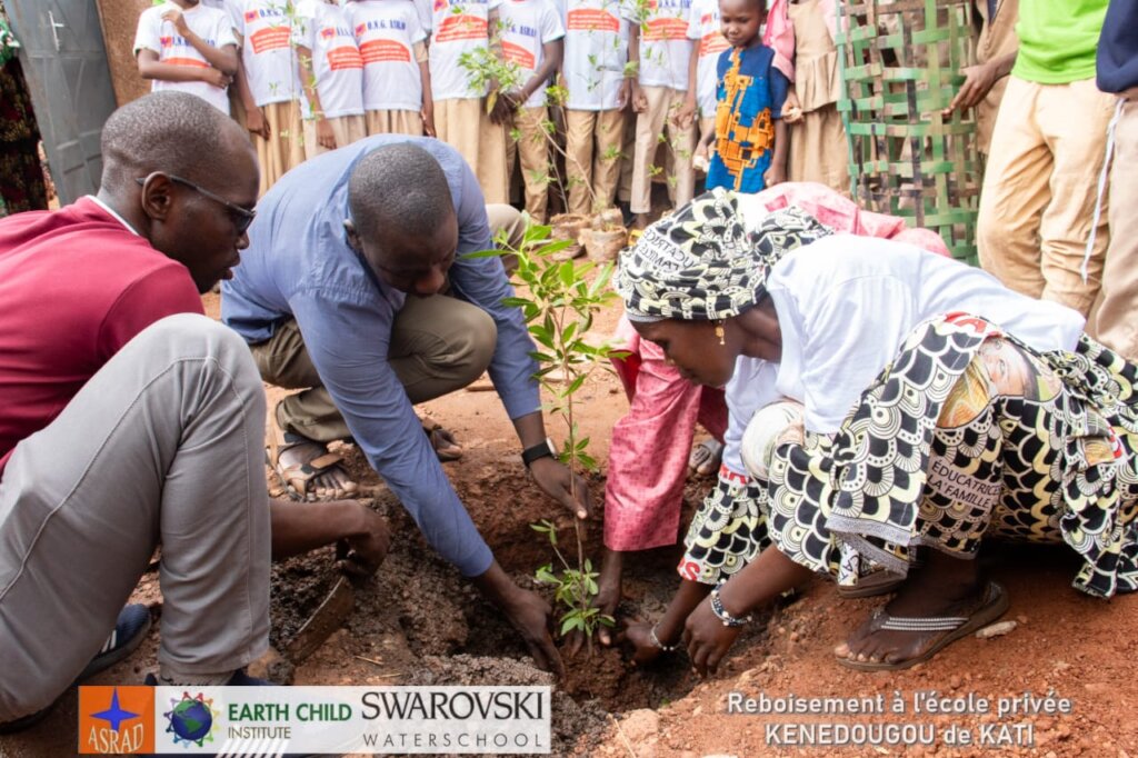 A pupil a tree - GlobalGiving