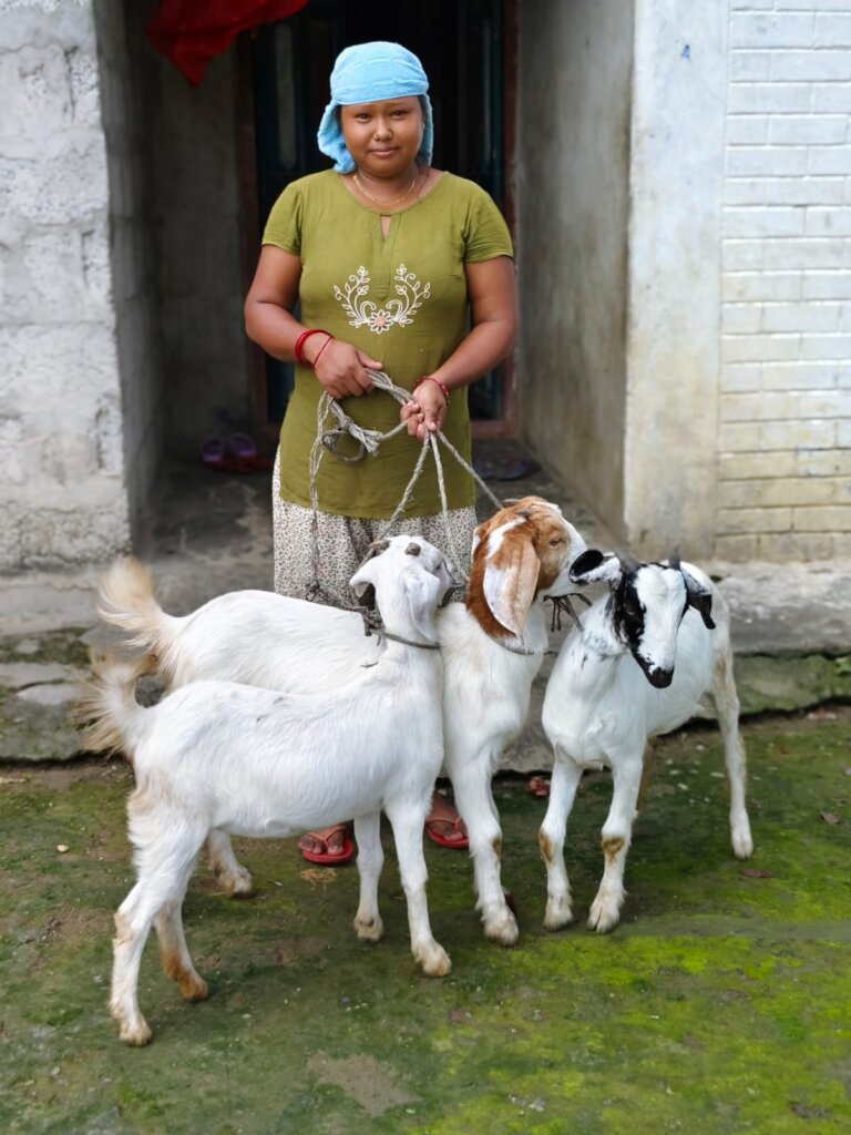 Empower Communities In Nepal through Goat Farming - GlobalGiving