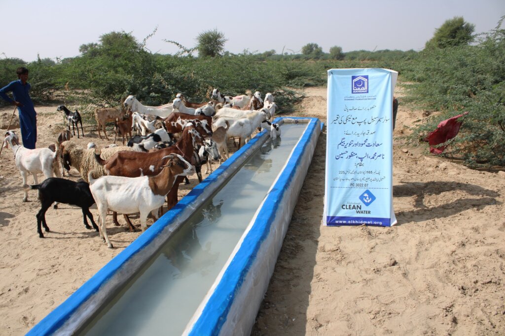 Build 100 Solar Submersible Water Pump in Pakistan - GlobalGiving
