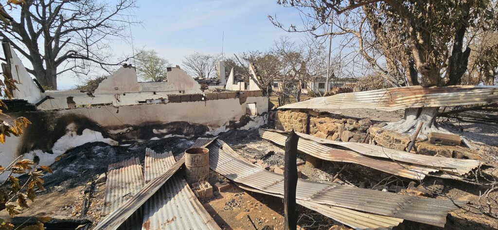 Help Wide Horizons rise from the ashes - GlobalGiving