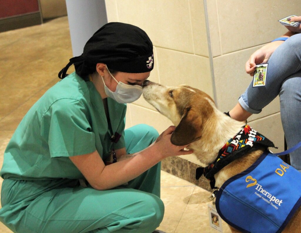 Therapet: Animal Assisted Therapy - GlobalGiving