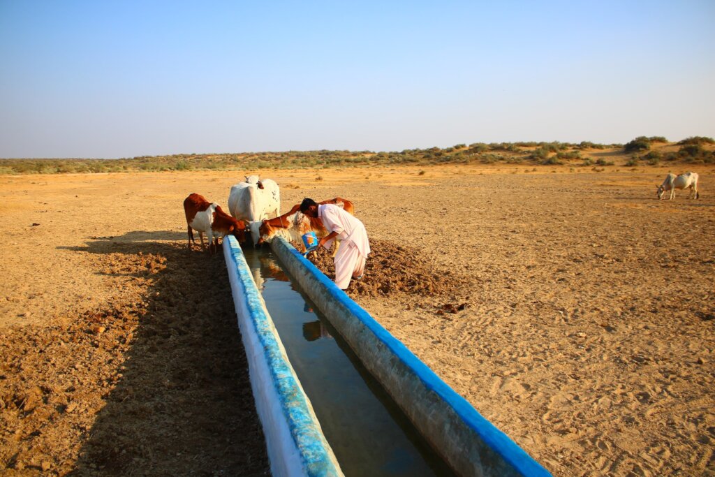 Build 100 Water Wells in Pakistan - GlobalGiving