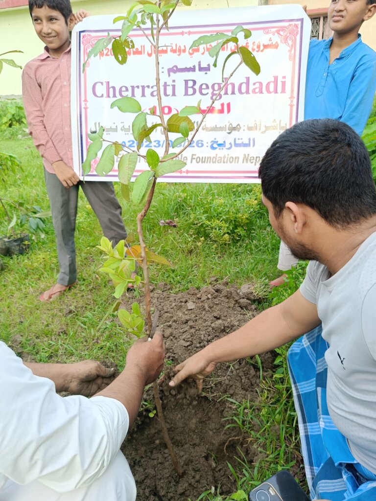 For a Better Nature: Plant Trees - GlobalGiving