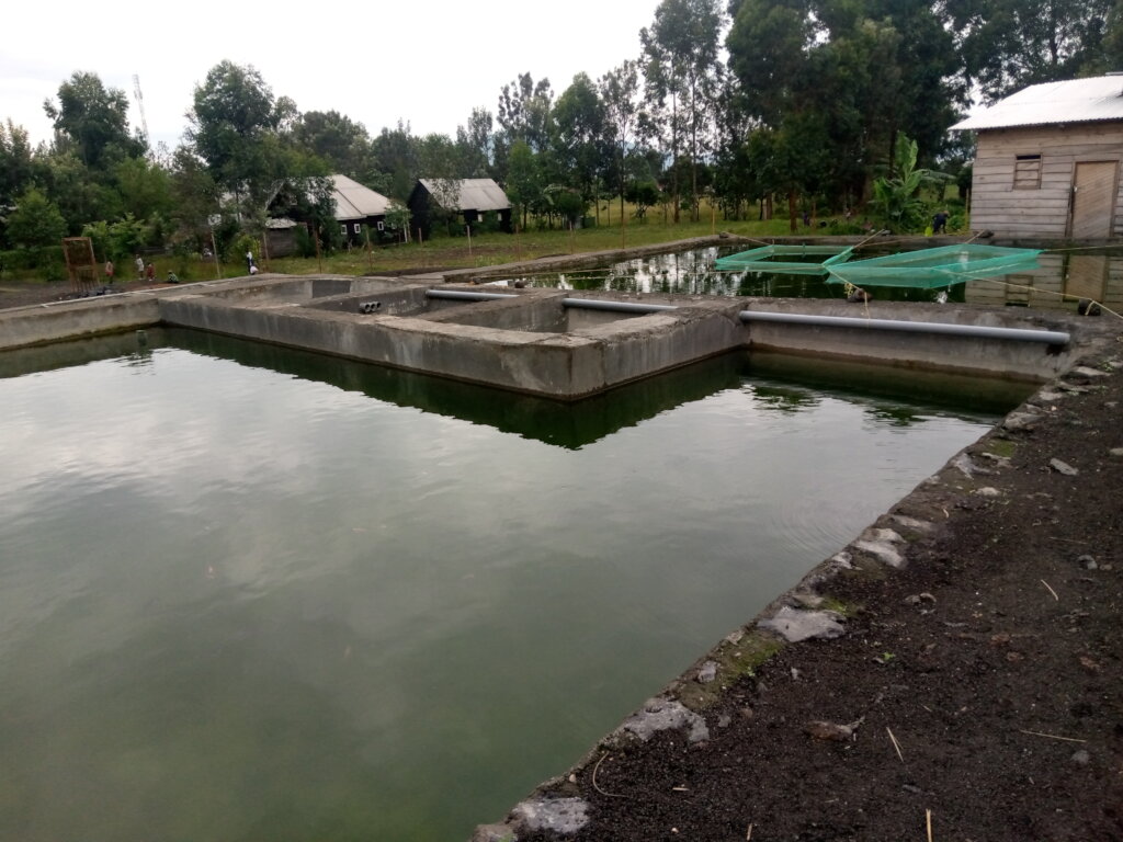 Help to Build Sustainable Fish Ponds - GlobalGiving