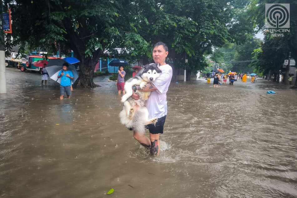 Urgent Support for Typhoon Gaemi Relief Efforts - GlobalGiving