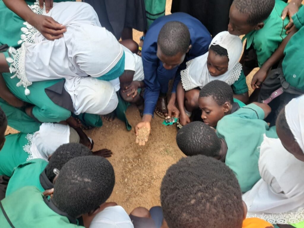 Bridging the Gap in STEM Education for 1200 Girls - GlobalGiving