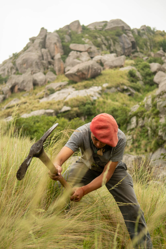 Donate to Reforesting headwaters of the future, Argentina - GlobalGiving