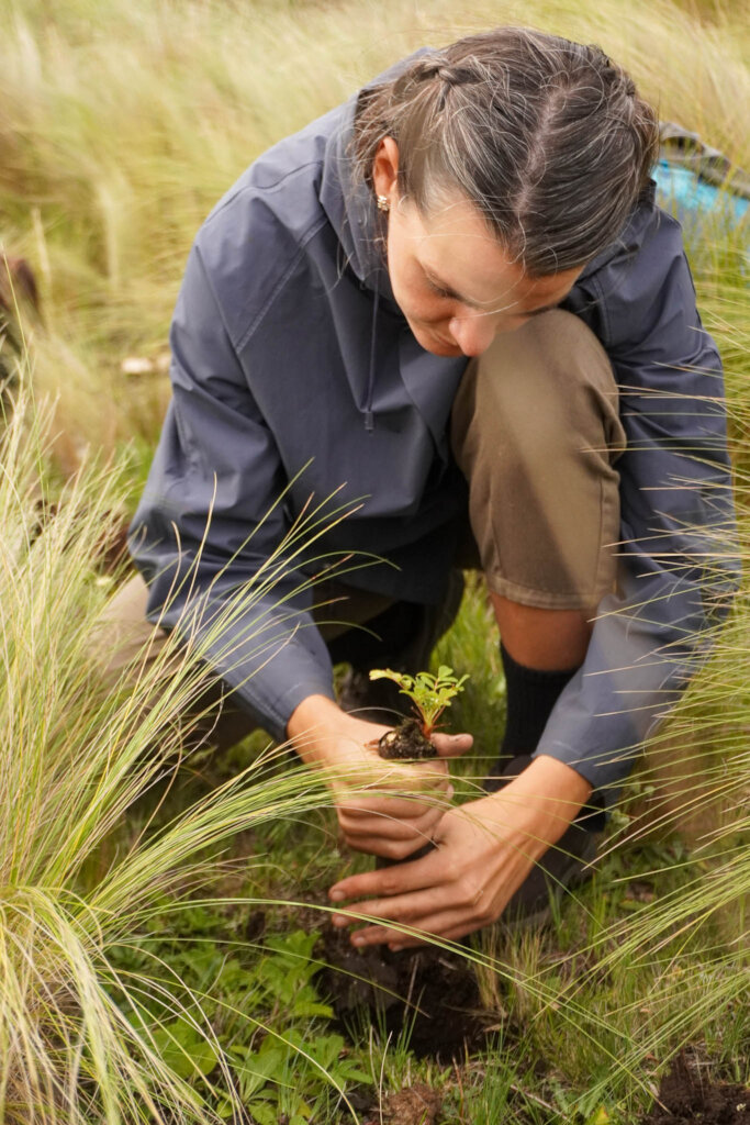 Donate to Reforesting headwaters of the future, Argentina - GlobalGiving