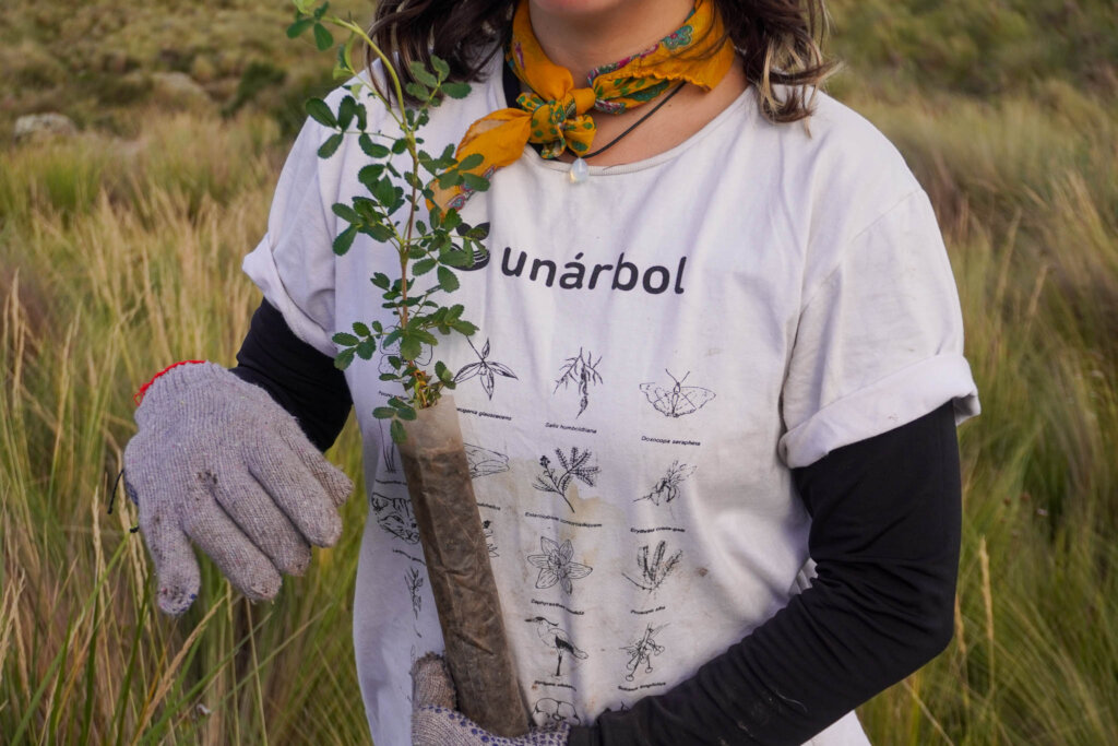 Donate to Reforesting headwaters of the future, Argentina - GlobalGiving