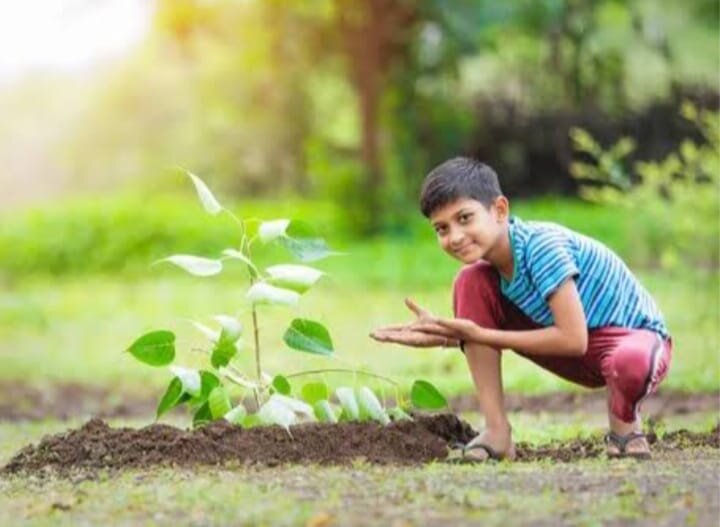 Plantation Drive for Independence Month - GlobalGiving