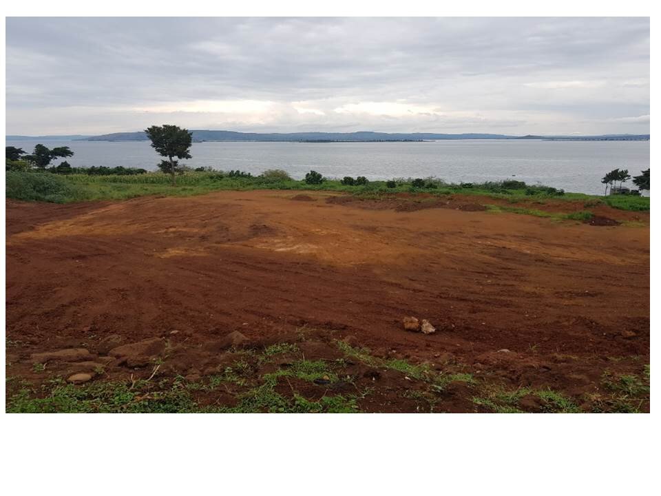 Plant 50,000 Trees In Eastern Uganda - GlobalGiving