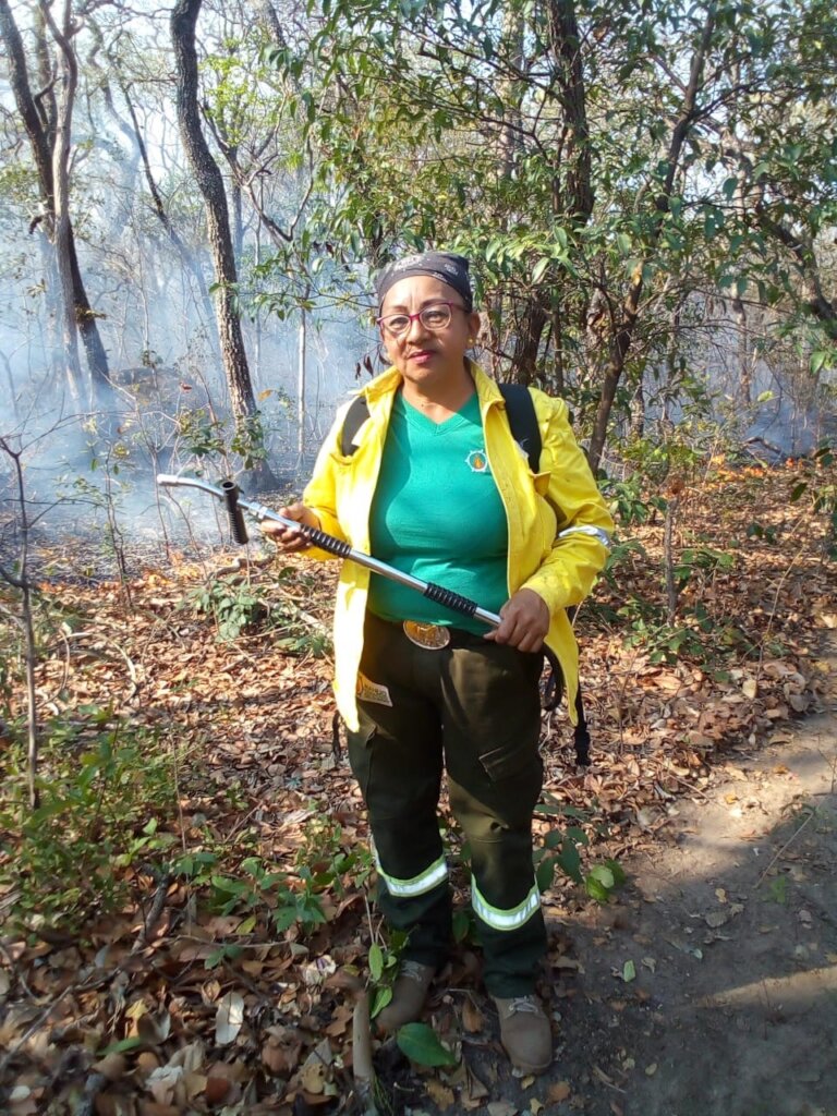 Help us unmask organized crime in Latin America - GlobalGiving