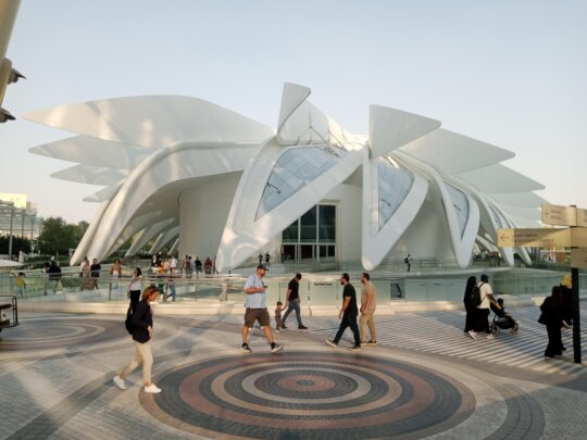 Road to COP30 Brazil - GlobalGiving