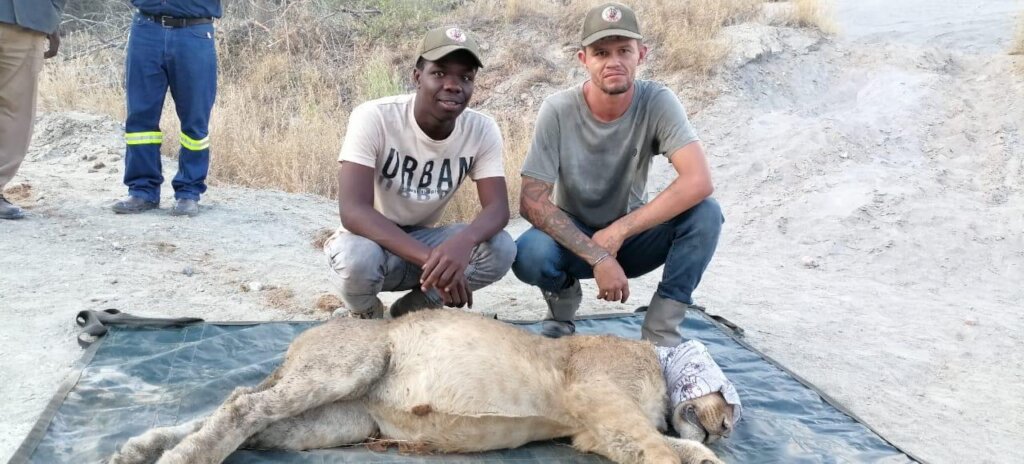 Reports on Training Young Game Rangers - GlobalGiving