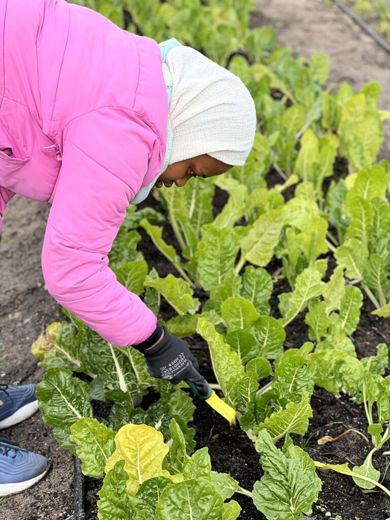 Community Vegetable Garden - GlobalGiving