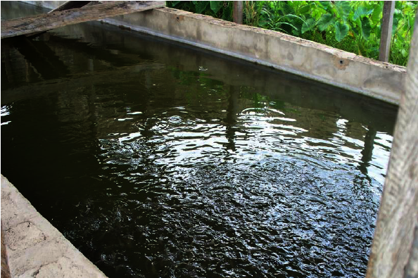 livelihood sustainability through fish farming - GlobalGiving