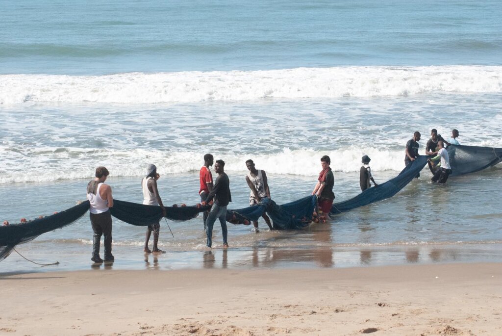 livelihood sustainability through fish farming - GlobalGiving