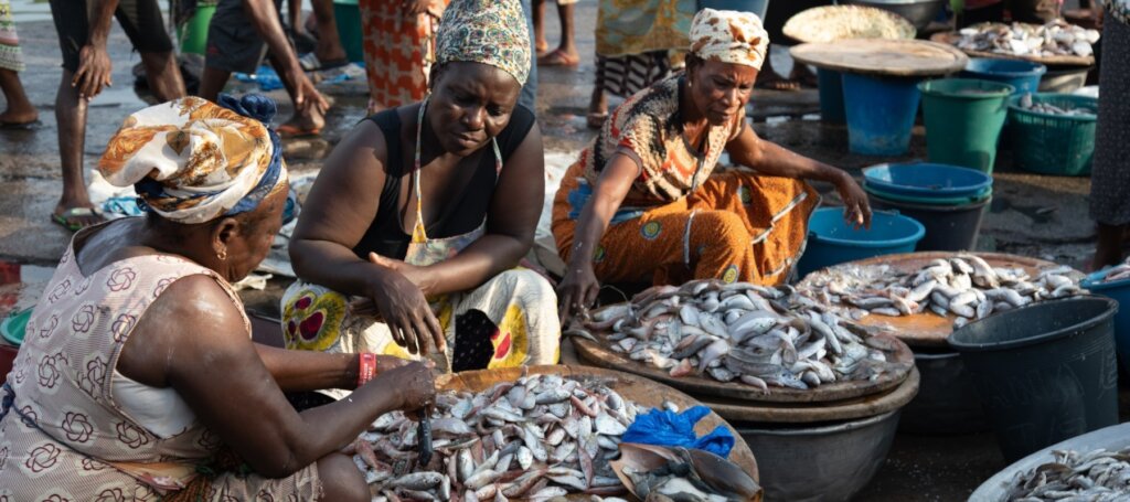 livelihood sustainability through fish farming - GlobalGiving