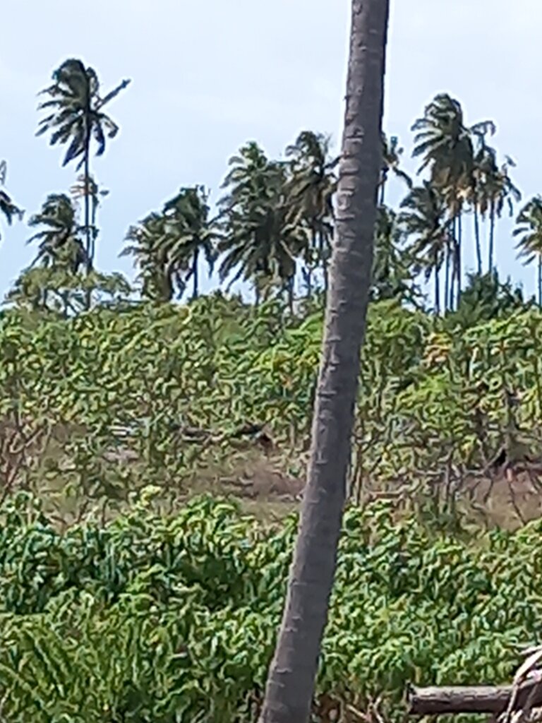 Office Fund - GlobalGiving