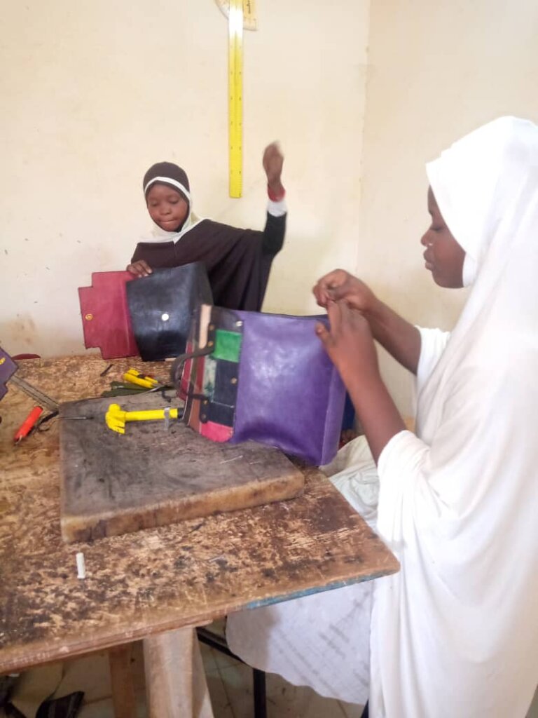 Reports on Job Skills for People in Niger - GlobalGiving