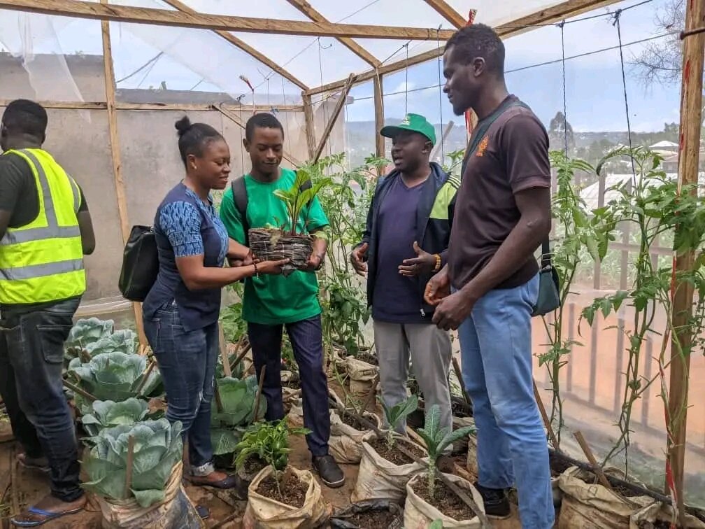 Green empowerment for 150 vulnerable returnees - GlobalGiving