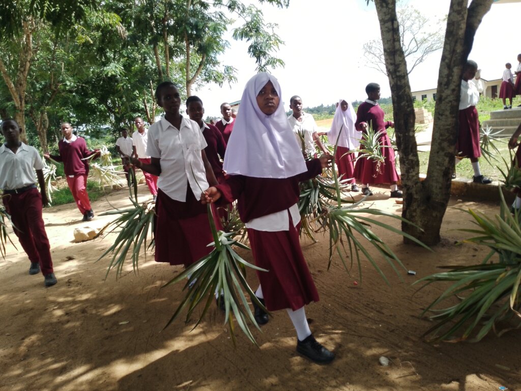 Restore Mombo Nature Forest: Plant 30,000 Trees - GlobalGiving