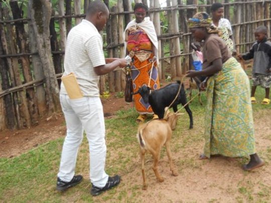 Enable 50 Rwandan Mothers to Farm for Profit - GlobalGiving