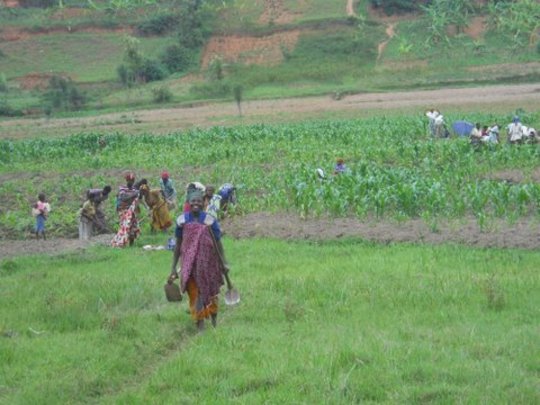 Enable 50 Rwandan Mothers to Farm for Profit - GlobalGiving