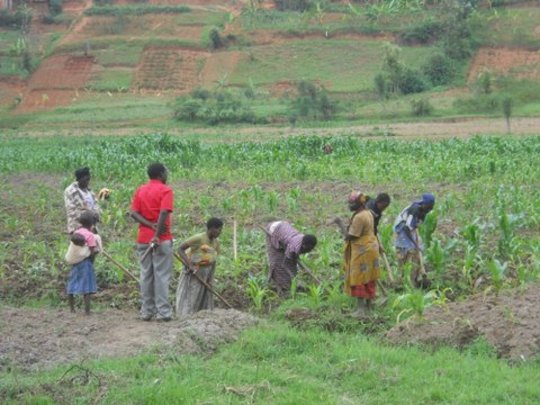 Enable 50 Rwandan Mothers to Farm for Profit - GlobalGiving