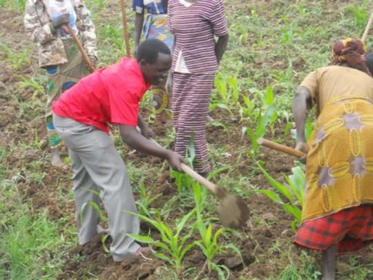 Enable 50 Rwandan Mothers to Farm for Profit - GlobalGiving