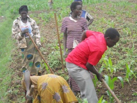 Enable 50 Rwandan Mothers to Farm for Profit - GlobalGiving